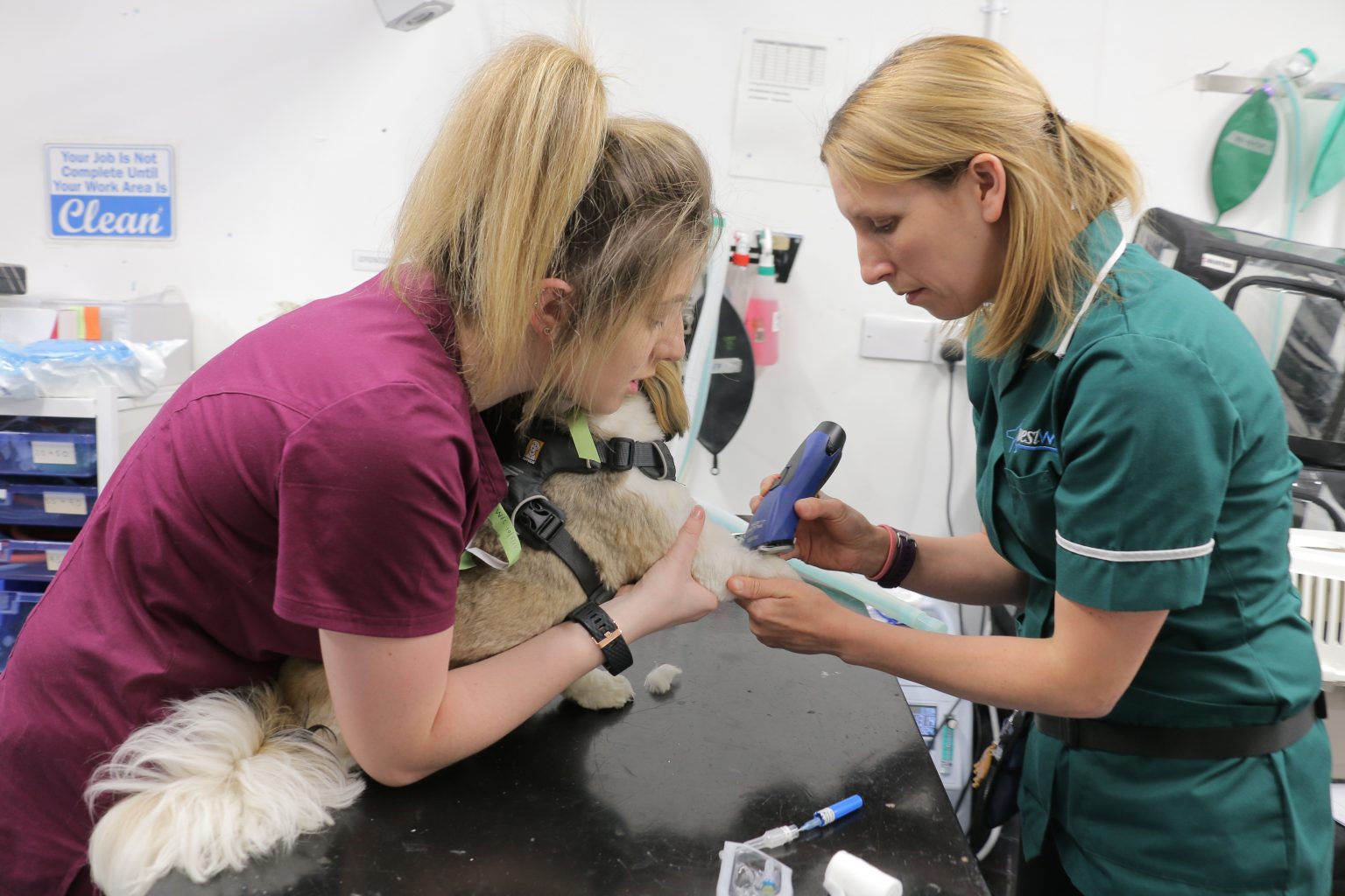 About us | VetPartners Ireland