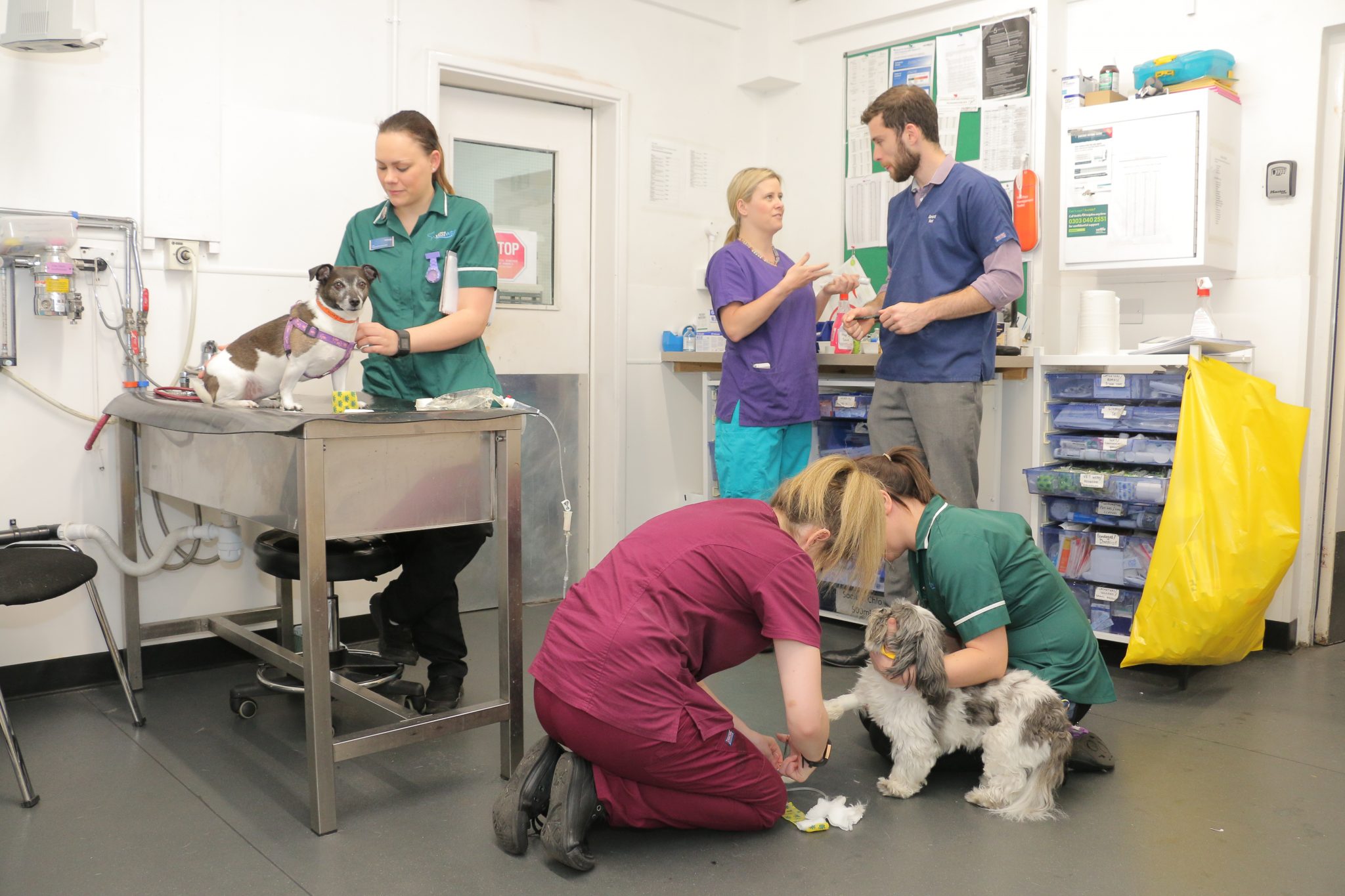 VetPartners Ireland | Founded by Vets. For Vets.
