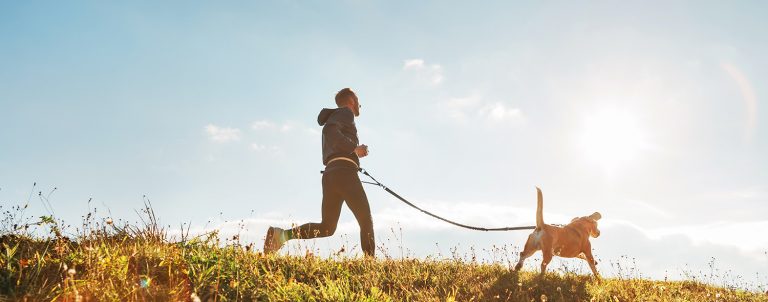 About us | VetPartners Ireland