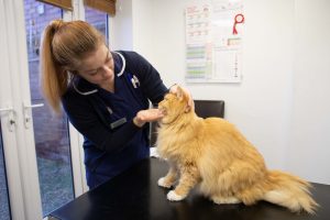 About us | VetPartners Ireland