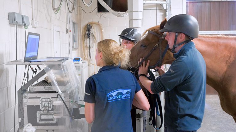 About us | VetPartners Ireland
