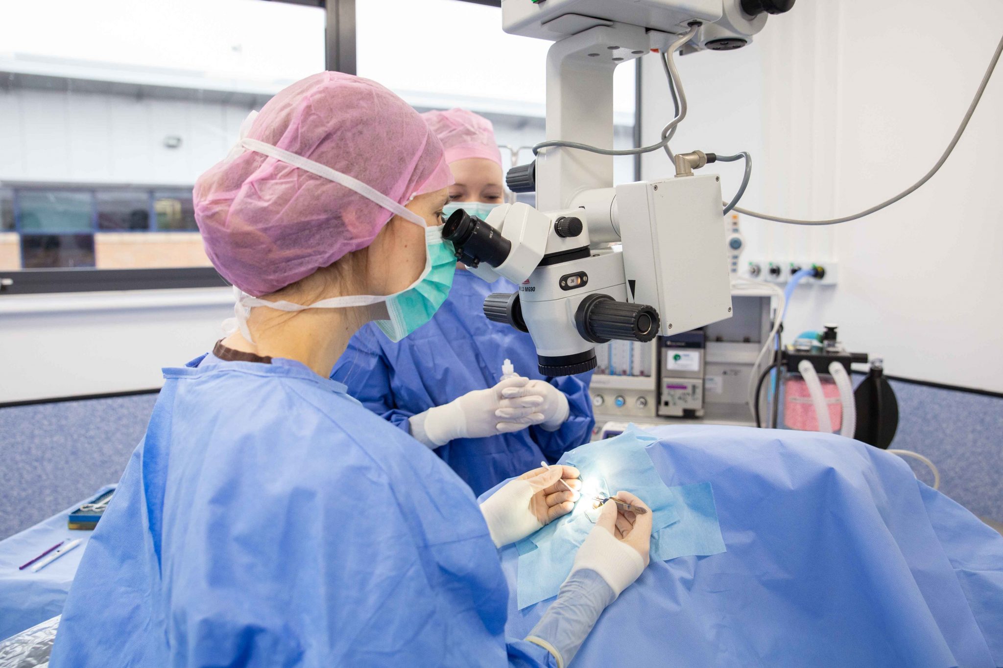 Our Story | VetPartners Ireland