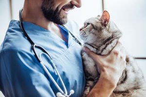 About us | VetPartners Ireland
