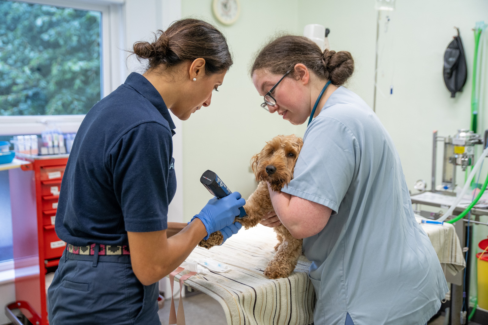 VetPartners Ireland | Founded by Vets. For Vets.