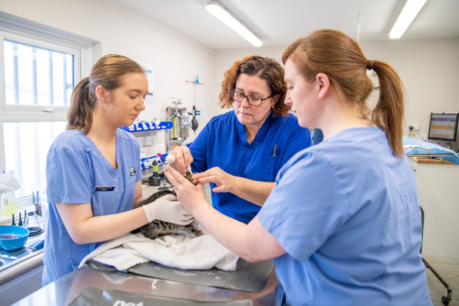 VetPartners Ireland | Founded by Vets. For Vets.