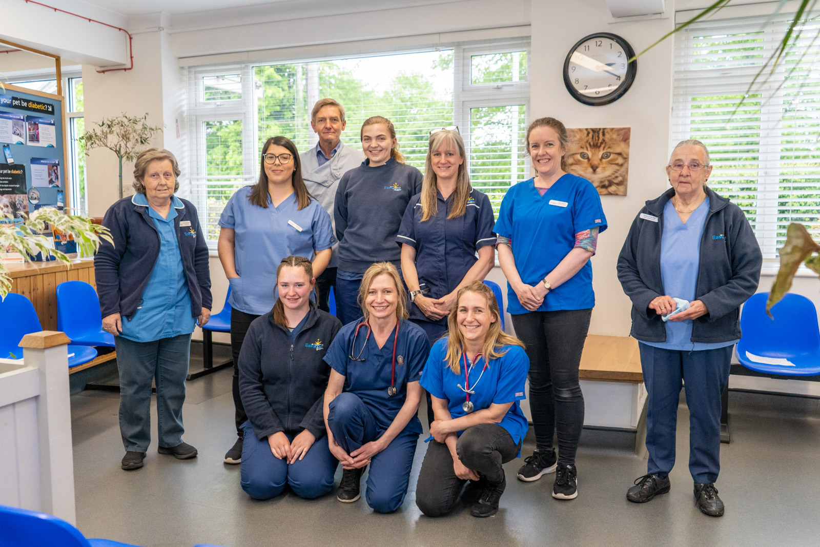 Veterinary Careers | VetPartners Ireland